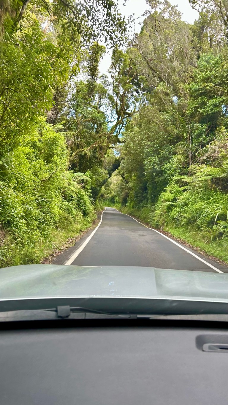 Hiking to Wilkies Pools and Dawson Falls on Mount Taranaki – Wremer ...