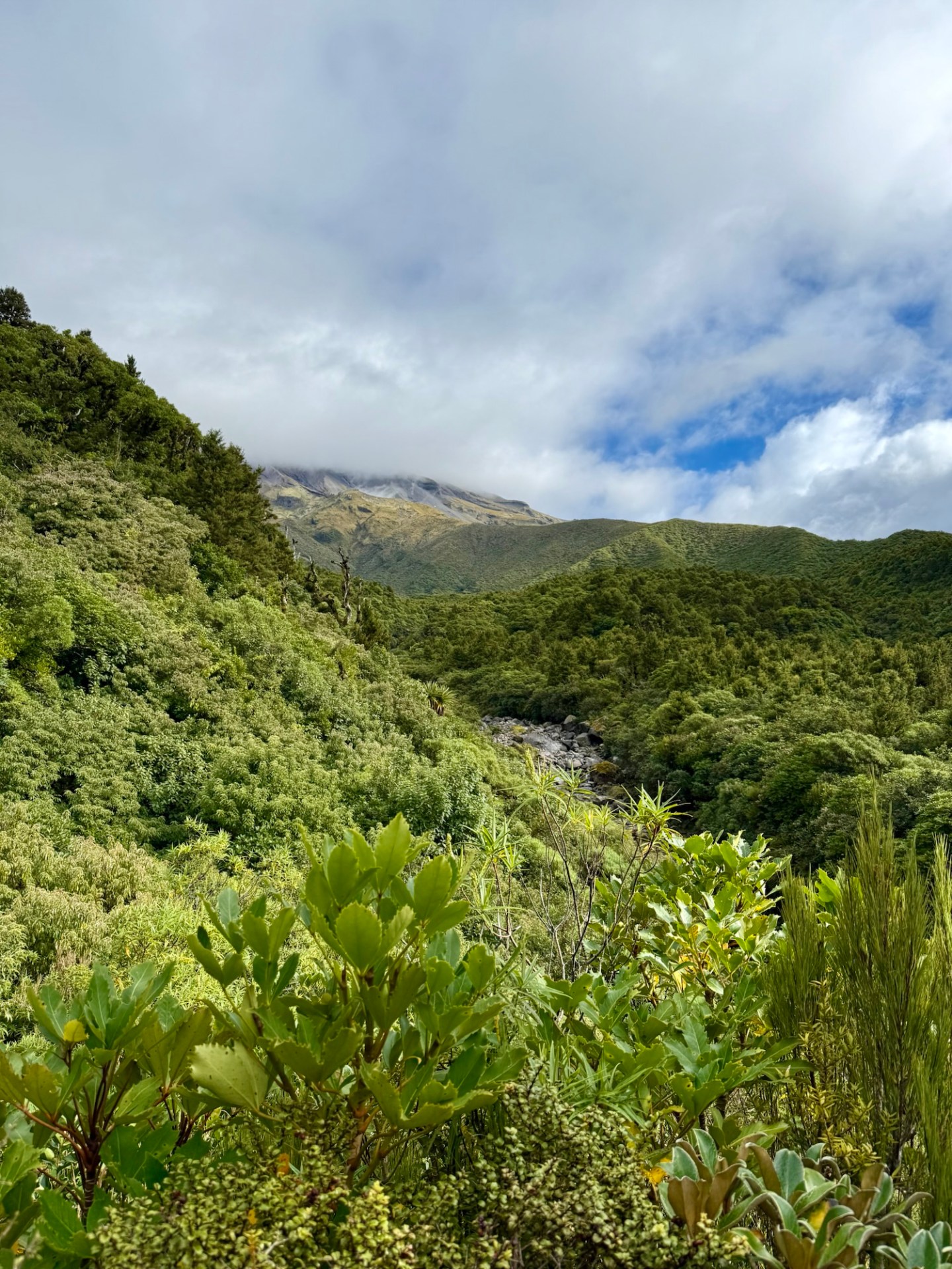 Hiking to Wilkies Pools and Dawson Falls on Mount Taranaki – Wremer ...