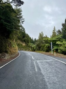 The Forgotten World Highway: New Zealand’s Most Epic Scenic Drive ...