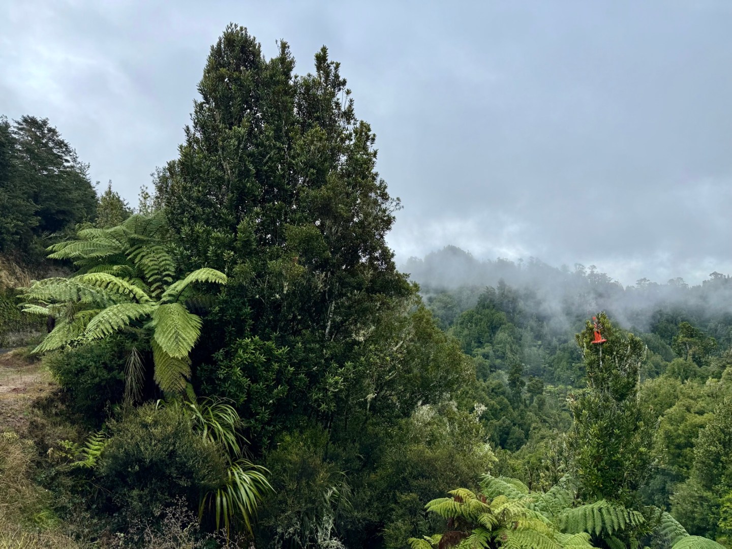 The Forgotten World Highway: New Zealand’s Most Epic Scenic Drive ...