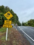 The Forgotten World Highway: New Zealand’s Most Epic Scenic Drive ...