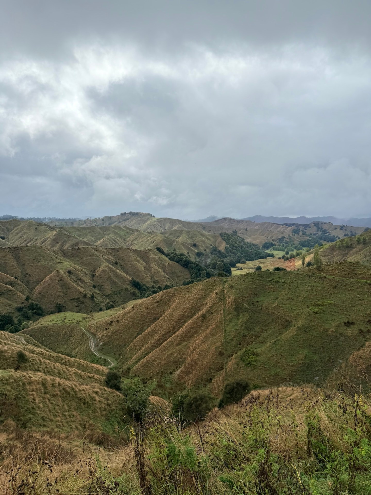 The Forgotten World Highway: New Zealand’s Most Epic Scenic Drive ...
