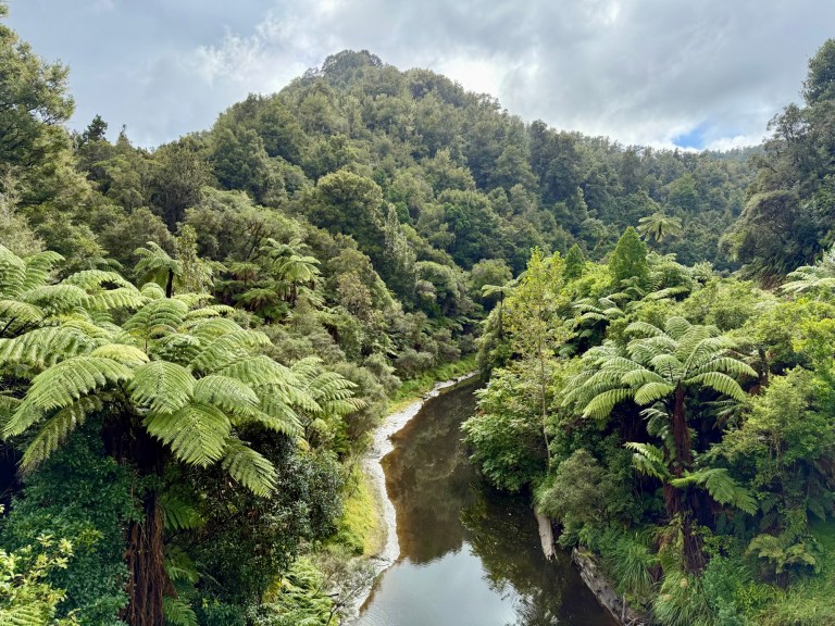 The Forgotten World Highway: New Zealand’s Most Epic Scenic Drive ...